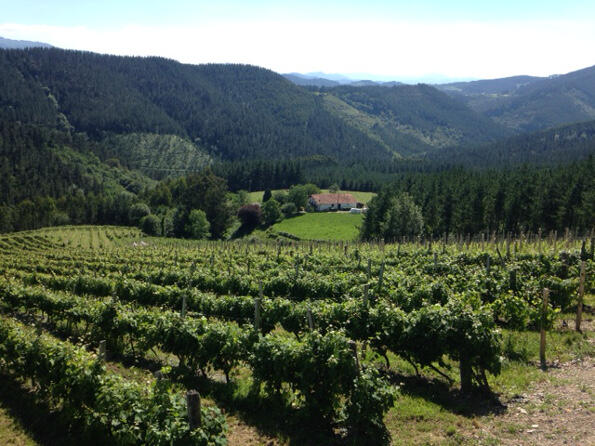 Basque Country | Spanish Wine Tours | Iberian Wine Tours
